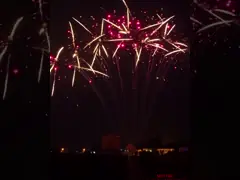 Mandarin Pyrotechnics 130 Shots Professional Display Fireworks 1.4g