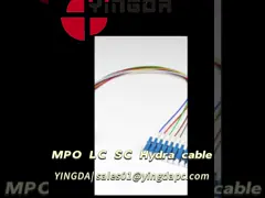 China SC Hydra 12 Strand Fiber Cable Assembly  MTP MPO Patch Cord For FTTX for sale