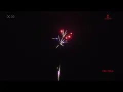 CE Marked Outdoor 100 Shots Consumer Cake Fireworks For Birthday Celebration