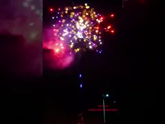 100 Shots Consumer Cake Fireworks For Celebration Outdoor Big Fireworks