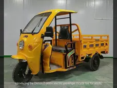 Brand New 2 Seater Electric Passenger Tricycle Taxi for Adults