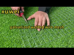 1 pollice Galvanizzato a caldo Saldato Griglia di ferro per recinzione Griglia Galvanizzata Roll