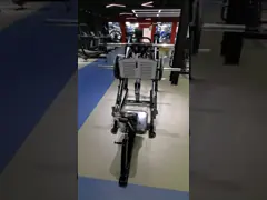 China 45-Degree Plate Loaded Linear Leg Press with 3 Back Pad Adjustments and Easy Carriage Release for Commercial Gyms for sale