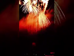 Liuyang Mandarin Standard Cake Fireworks 2023 Pyrotechnics New Years Fireworks