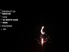 Liuyang Custom Cake Fireworks Chinese Outdoor Pyrotechnic 500G 24 Shots