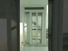 Leftpack Hydraulic Home Elevator 0.25 M/S Speed Hairline Stainless Steel Covers