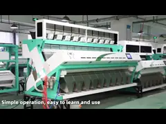 China China Most Cost-Effective AI Color Sorter for Corn Sorting Remove Moldy Rotten Corn Kernel with High Output for sale