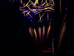 Customized Consumer Fireworks 92 Shots China Cake Fireworks