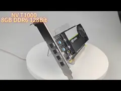 Cina T1000 8GB DDR6 128Bit Professional Graphics Card Fino a 160GB/s Memoria Larghezza di banda Mini DP Ports Low Profile GPU in vendita