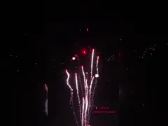 Wholesale Howling Wolf Pyrotechnics Cake Fireworks 2024 Good Price Outdoor Consumer Products