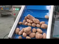 Fresh cut French fries production line