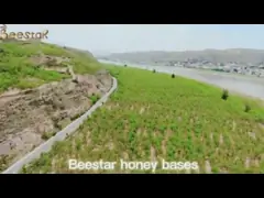 250g Manuka Honey MGO 100+Certified 100% Pure New Zealand Manuka HoneyNatural Bee Honey