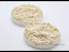 필수 밀 글루텐 밀 글루텐