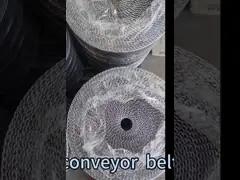 China SS304 Wire Mesh Heat Resistant Food Conveyor Belt for Oven Furnace Pizza Oven for sale
