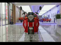 China 800w Passenger Electric Tricycle With Back Seat Foldable Safety Guardrail for sale