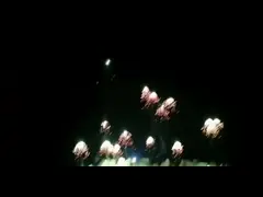 China New Year Toy Firework Jellyfish Consumer Novelty Fireworks Skyshots Pyrotechnic for sale