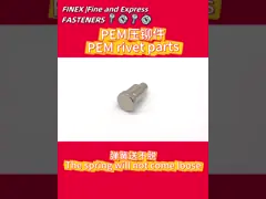English Version