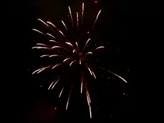 Custom Pyrotechnic Chinese Outdoor Classic Cake Fireworks 16 Shot
