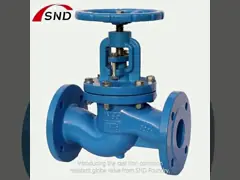 Cast Iron Corrosion Resistant Globe Valve For Chemical Industry