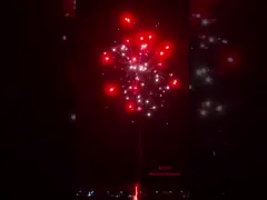 Liuyang Fireworks Pyrotechnics Chinese Wholesale Fireworks Consumer Cake Fireworks 2024