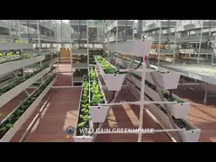 China Modern Agricultural Strawberry Growing Troughs Greenhouse PVC Hydroponic Grow Equipment for sale