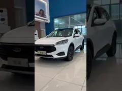 중국 차건 포드 콤팩트 SUV 루이지 2024 에코보스트 245 4WD ST-LINE 프로 2.0T 248HP L4 판매용