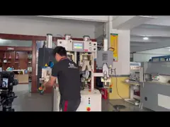 Shoe back part moulding machine