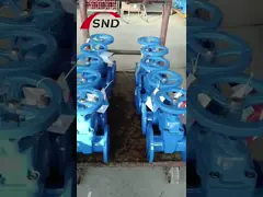China GGG50 DN65 PN16 Flange Gate Valve for Oil Water Gas for sale