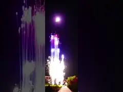Chinese Customized 100 Shots Pyrotechnic Consumer Cake Fireworks For New Year