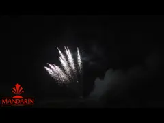 Salutes Professional Fireworks Display 100 Shots Z / Fan Shape Cake Pyrotechnics