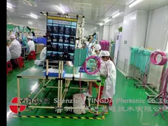 China 12 Fiber MPO Female Connector Patch Cord OM4  50/125um Elite Loss 0.35dB Purple Polarity A for sale