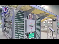 卵帯クリップは,輸送中にスムーズな動作を確保し,卵帯を固定し,接続するために使用されます