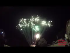 Display Professional Big Pyrotechnics 49 Shots Cake Fireworks Salutes