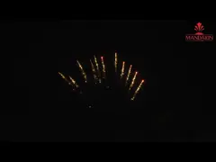 China Z Shaped Professional Fireworks Display 11 Shots Single Row OEM Package for sale