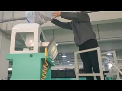 China Good Quality Wenyao CE Certificated Cashew Color Sorter Machine Chestnut Color Sorting Machine for sale
