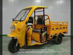 China Long Range Enclosed Cabin Cargo Electric Tricycle For Adult 800w 50KM/H for sale