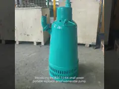 China BQS 7.5kw Small Dirty Water Submersible Pump Explosion Proof Submersible Pump for sale