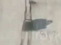 China Directional Drone Jammer for Security Protection of Drones Vehicles with RF Spectrum Analysis and 3km Jamming Distance for sale