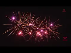 Outdoor 20 Shots Celebration Cake Pyrotechnics Fan Shaped Customized 1.4g