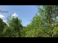 1.8% 10-HDA Organic Fresh Royal Jelly Natural Light Yellow