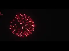 Chinese 16 Shots Big Cake Fireworks for Christmas Occasion