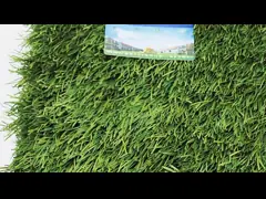 Cina 20 mm altezza 140 punti/m sportivo sintetico erba verde bisogno di riempire con granuli di gomma in vendita