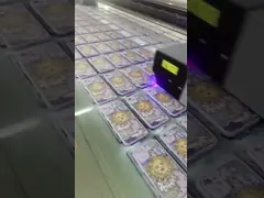 China UV Large Format Printer Flatbed Piezoelectric Inkjet Printer for sale