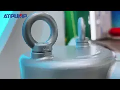 China 304/316/316L Duplex Submersible Stainless Steel Pumps 380/660 or 660/1140 V for sale