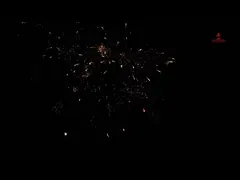 Chinese Fireworks 67 Shots Consumer Cake Fireworks Pyrotechnics Supplies