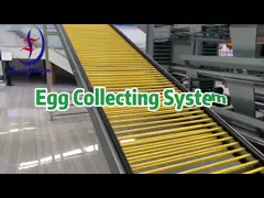 China Automated Egg Conveyor System ABS Egg Conveyor Pipe for sale