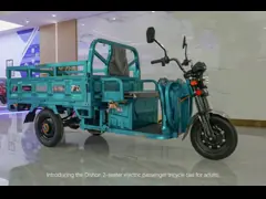 Brand New 2 Seater Electric Passenger Tricycle Taxi for Adults