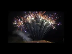 Mandarin 1.3g Pyrotechnics 13 Shots Professional Single Row Fireworks