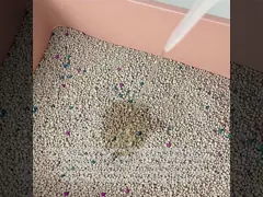 China Spherical Bentonite Cat Litter 0.8-3.8mm Dust Free Fast Clumping Natural Clay Pet Litter for sale