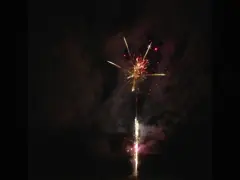 Liuyang Special Effects Professional Cake Fireworks Pyrotechnics 100 Shots